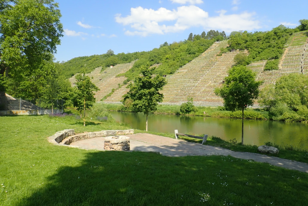 Neckar Walheim - Die Zugvögel